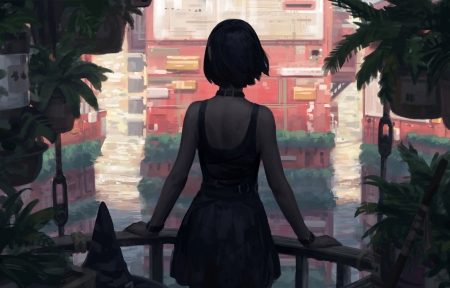 C C C - W L H S D X N - 我 要 我 们 好 好 的